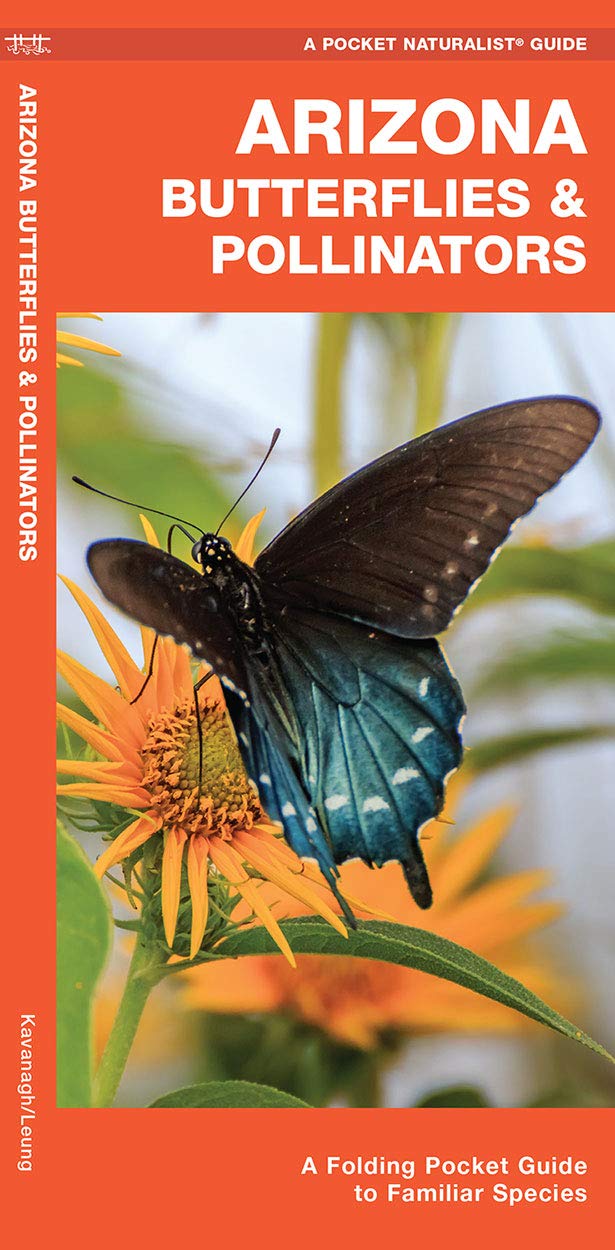 Arizona Butterflies & Pollinators: A Folding Pocket Guide to Familiar ...
